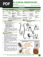 Microscopic Examination of Stool: LECTURE 4 (2022-2023) | PDF ...