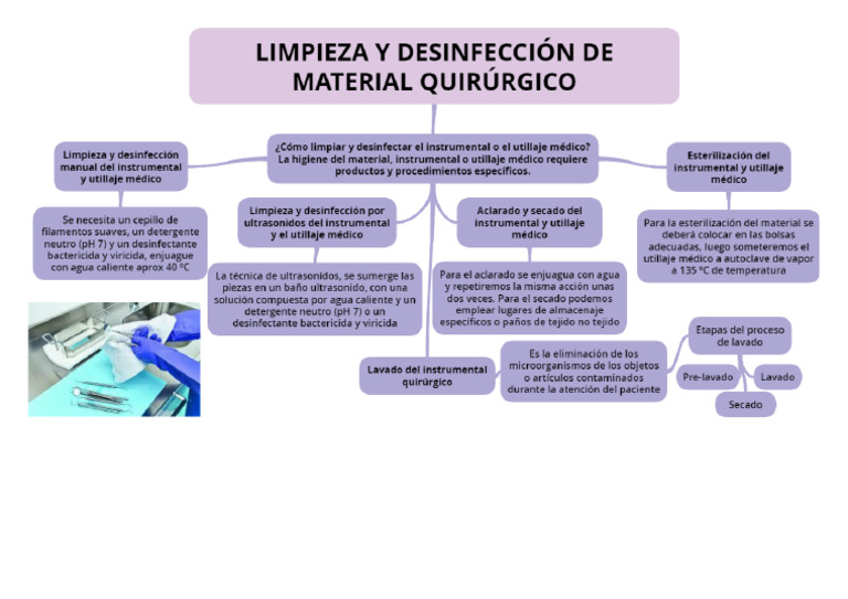 Limpieza y Desi - Solo Mapa Conceptual | PDF