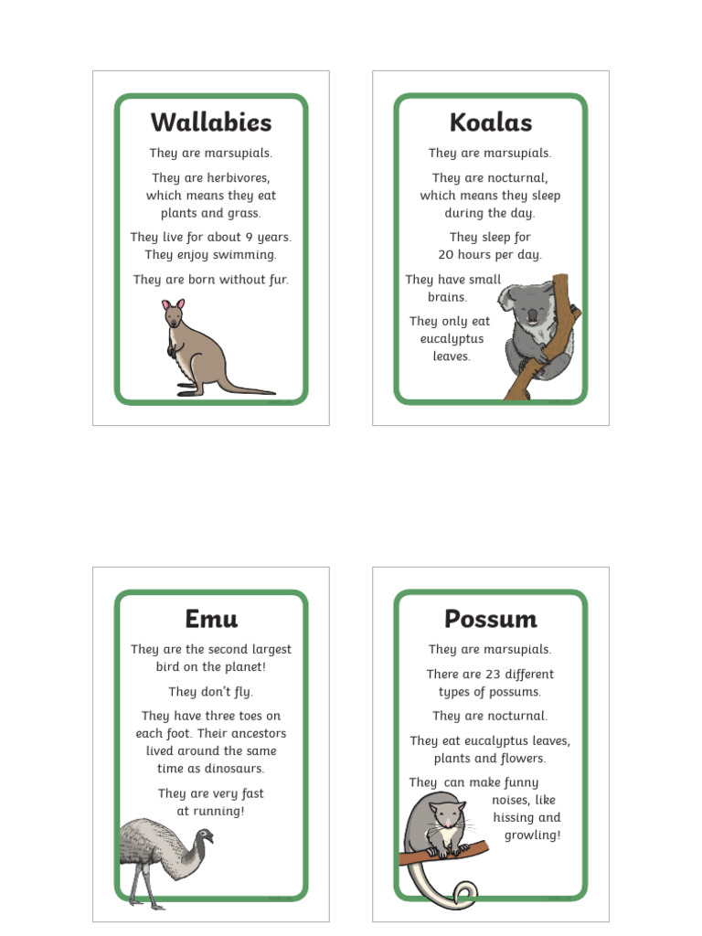 Australian Marsupials Overview | PDF | Science & Mathematics