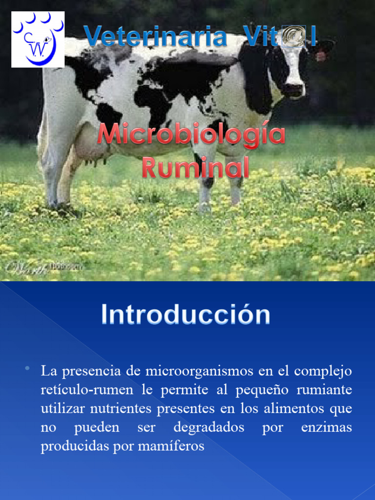 Microbiología Ruminal | Descargar gratis PDF | Las bacterias | Hongo