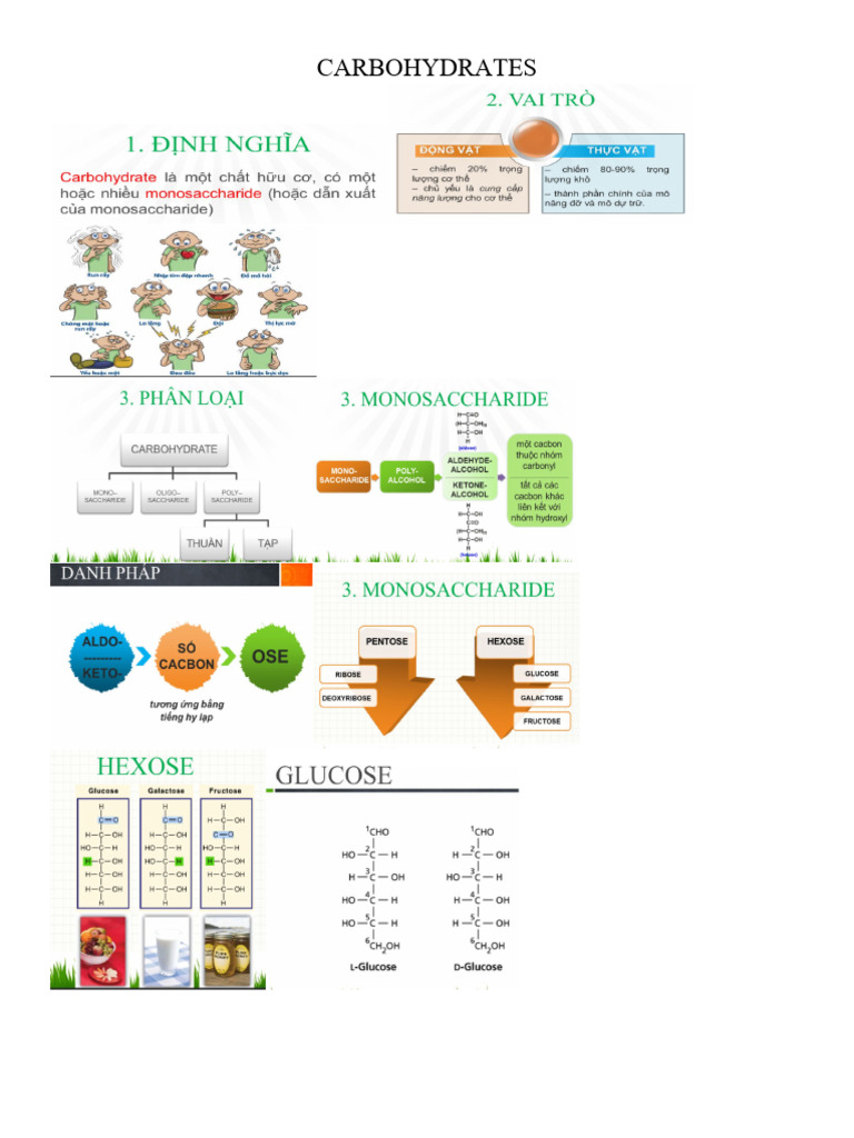 Nutrient Categories: Carbs, Lipids, Proteins | PDF