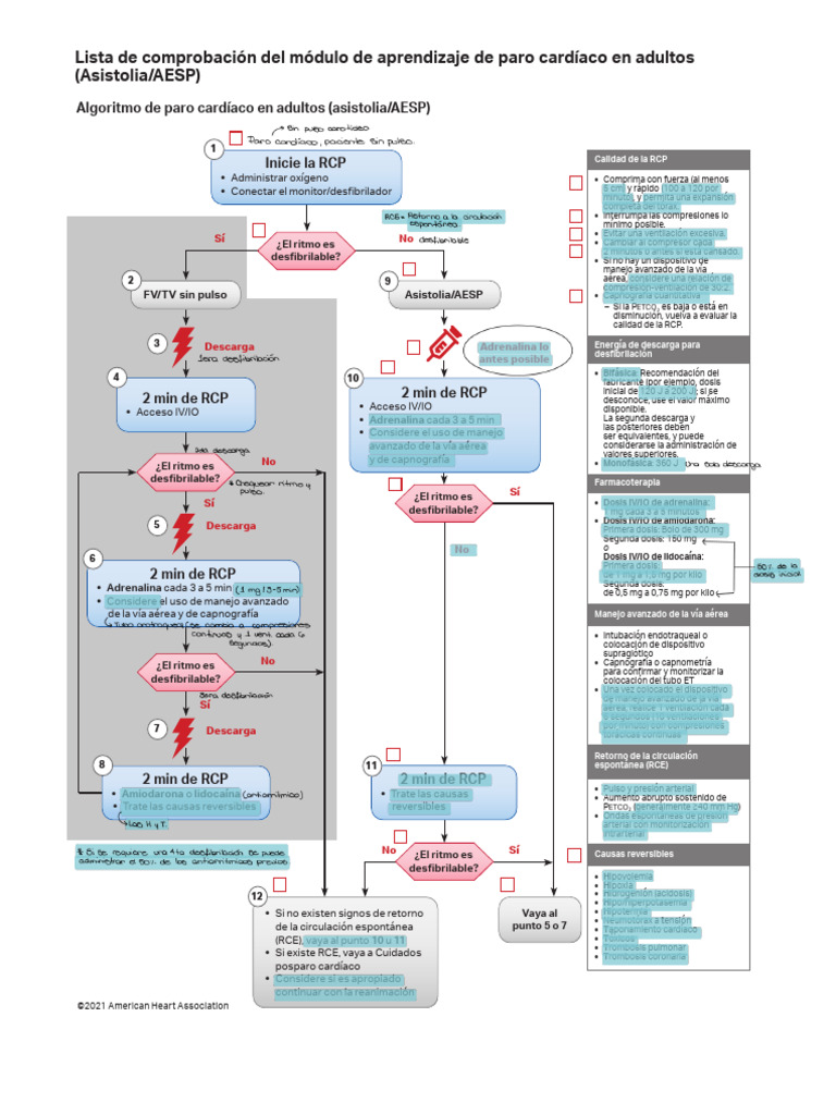 Todos Los Algoritmos ACLS | PDF | Reanimación cardiopulmonar | Causas de la muerte