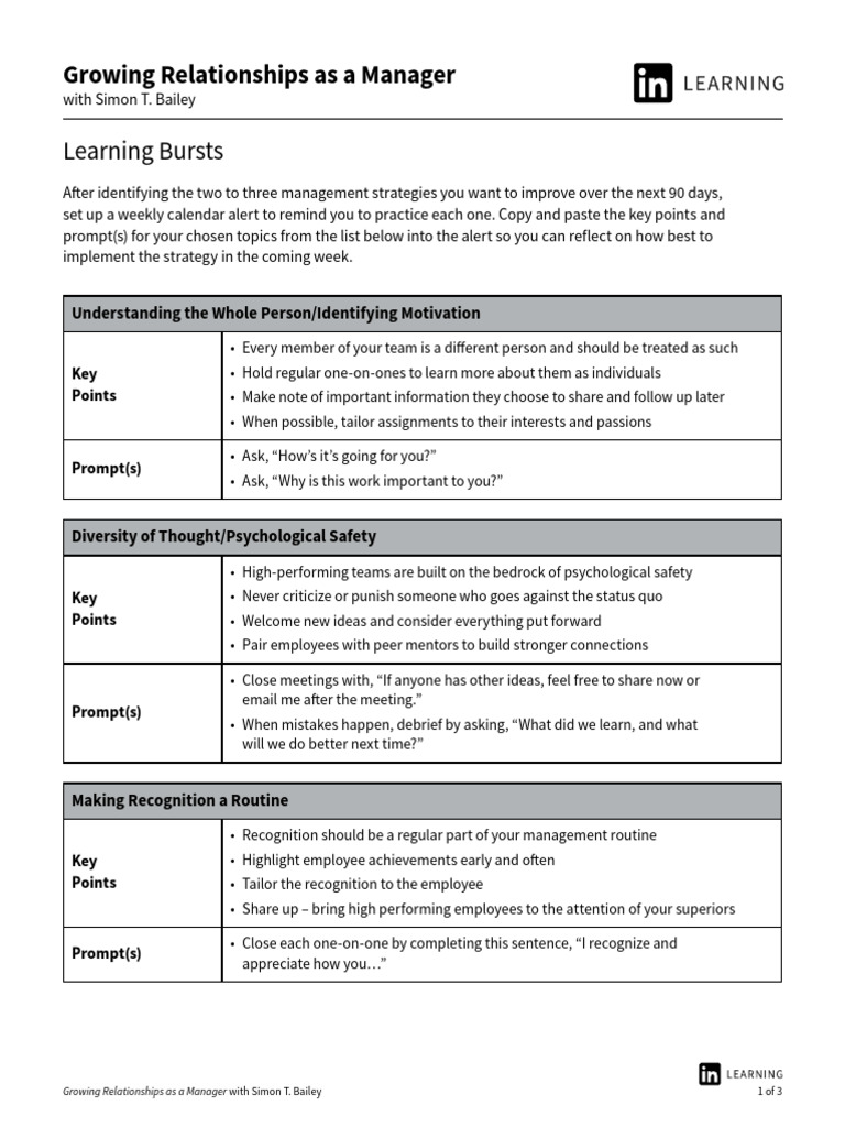 Learning Bursts | PDF | Mentorship | Behavioural Sciences