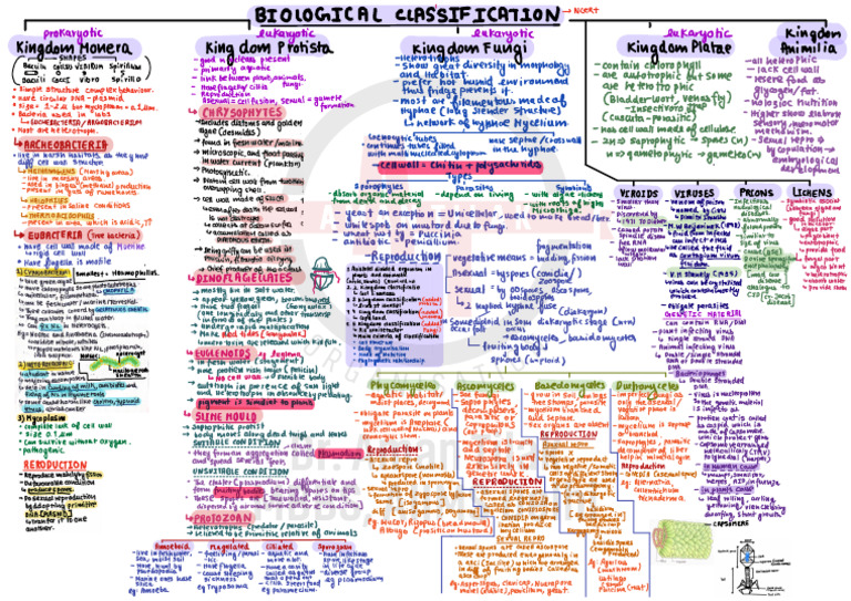 MasterMap - Biological Classification | PDF | Reproduction | Eukaryotes