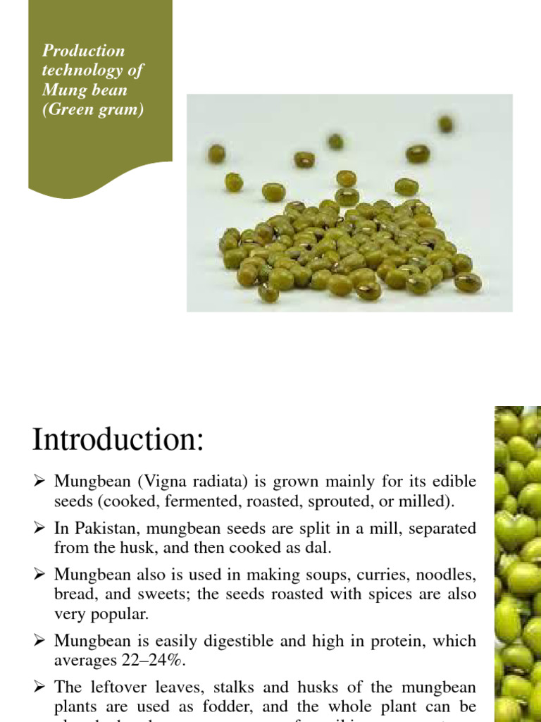 AGR-402-2-2-Mungbean (Production Technology) (Autosaved) | PDF | Legume ...