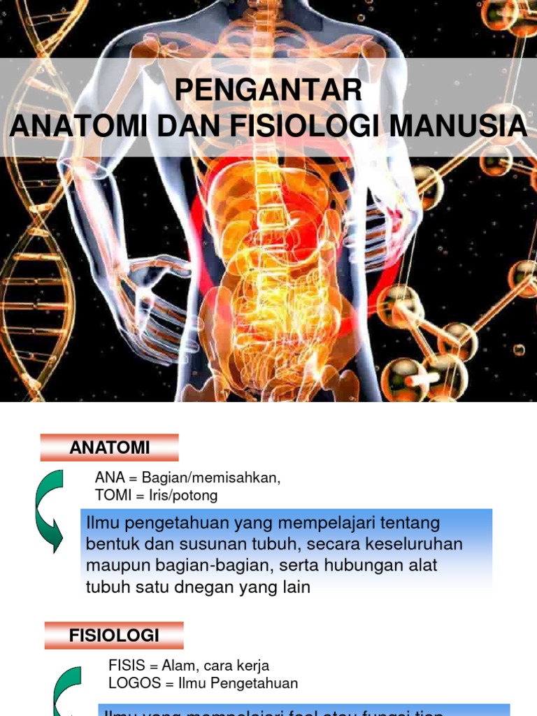 Pengantar ANATOMI DASAR DAN FISIOLOGI | PDF