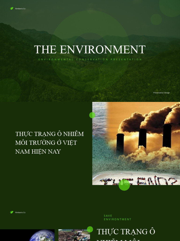 The Environment | PDF
