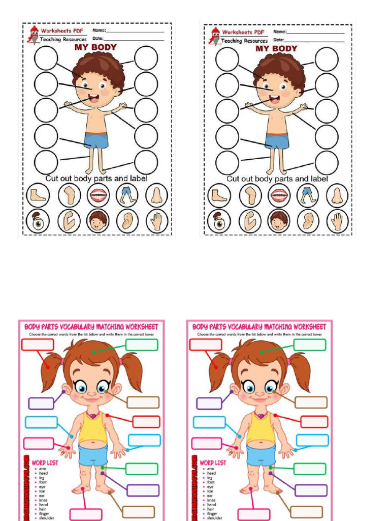 Body Worksheets | PDF