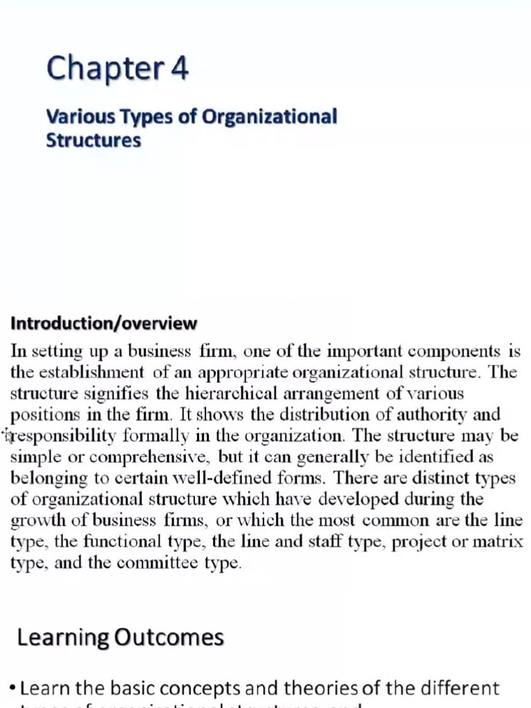 CHAPTER4 - Various Types of Organizational Structures | PDF