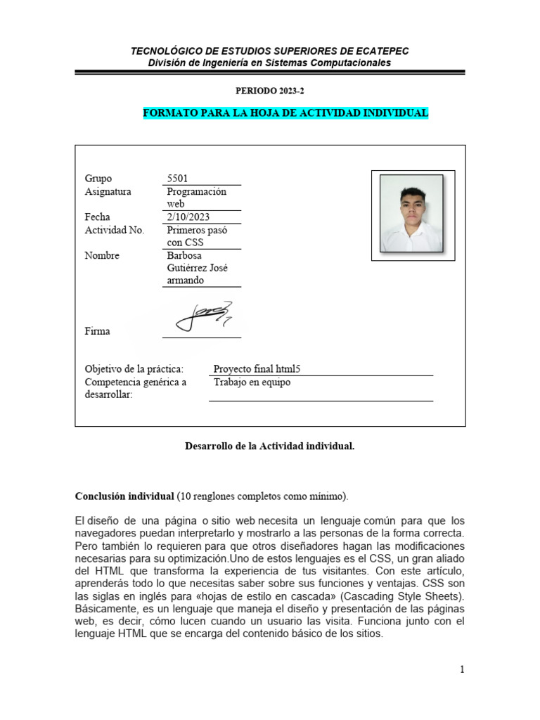 Introducción a CSS para Programadores | PDF