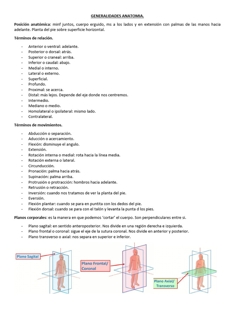 Generalidades Anatomia | PDF | Articulación | Términos anatómicos de ubicación
