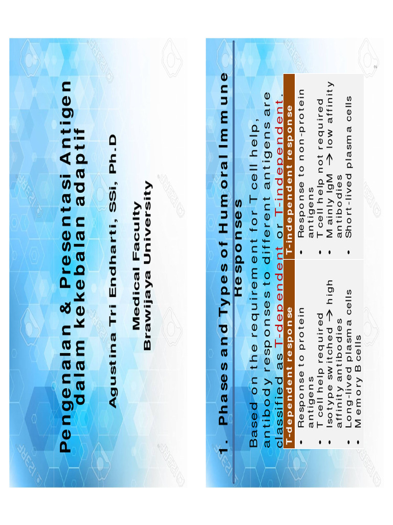 Pengenalan Presentasi Antigen Pada Imunitas Adaptif | PDF | Antigen | T Cell