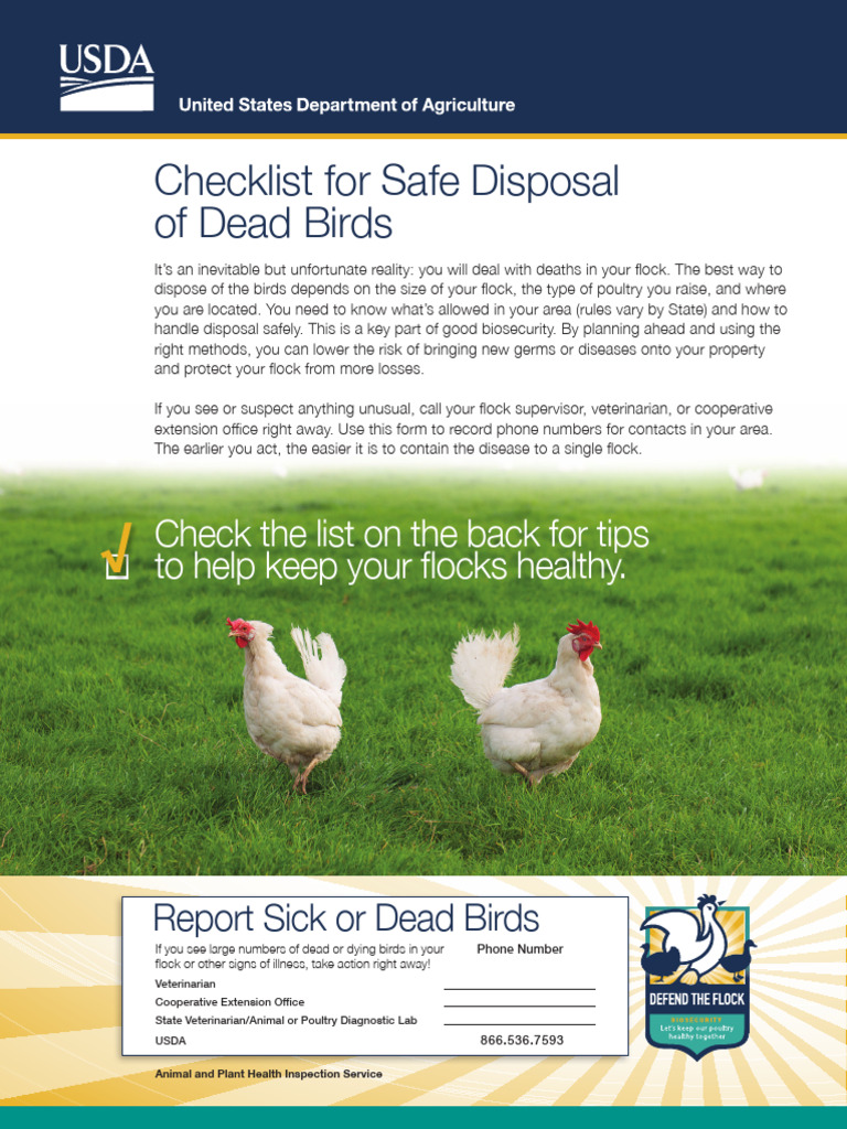 FSC Birds Checklist Safe Disposal | Download Free PDF | Poultry