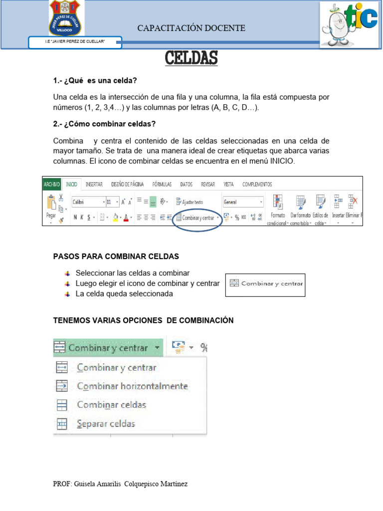 Formato de Celdas | PDF | Software