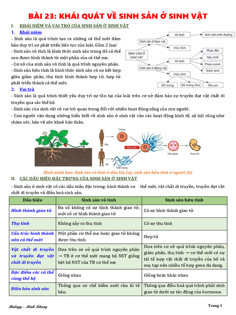 CHƯƠNG 4 ck2 | PDF
