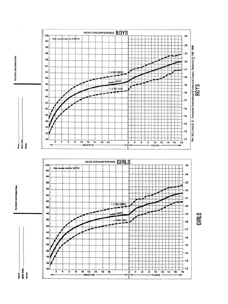 19.nellhaus Head Circumference | PDF