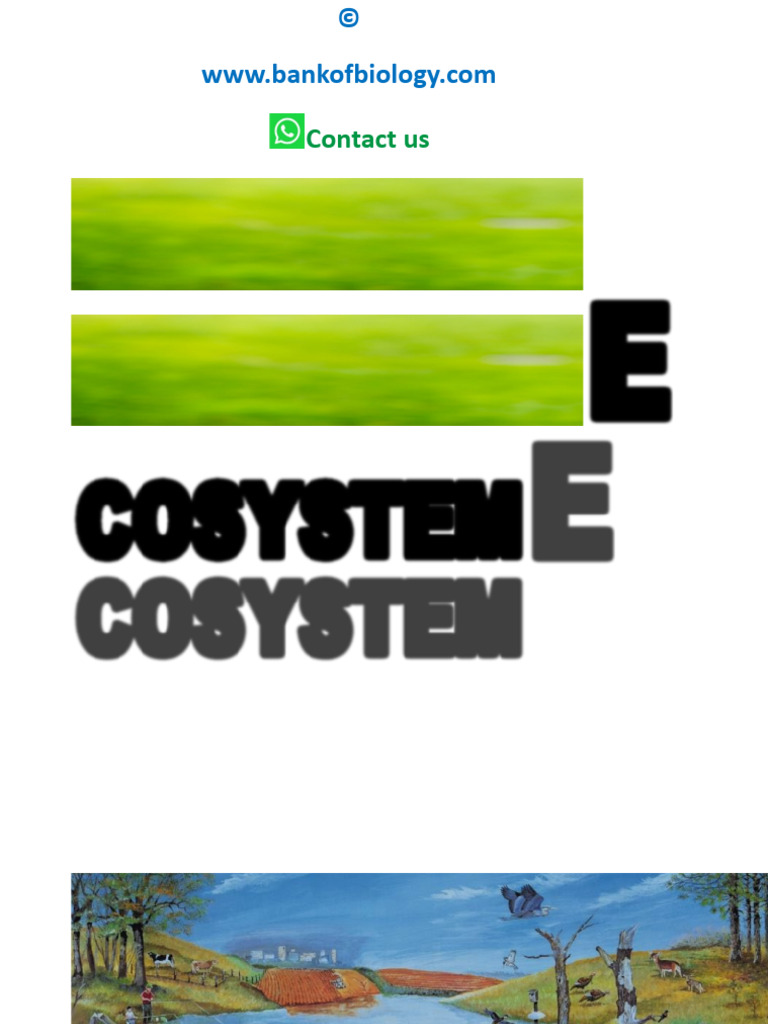 14 Ecosystem PPT Part 1 | PDF | Primary Production | Ecosystem