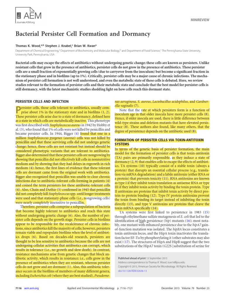 Persistent Cells | Download Free PDF | Biology | Life Sciences