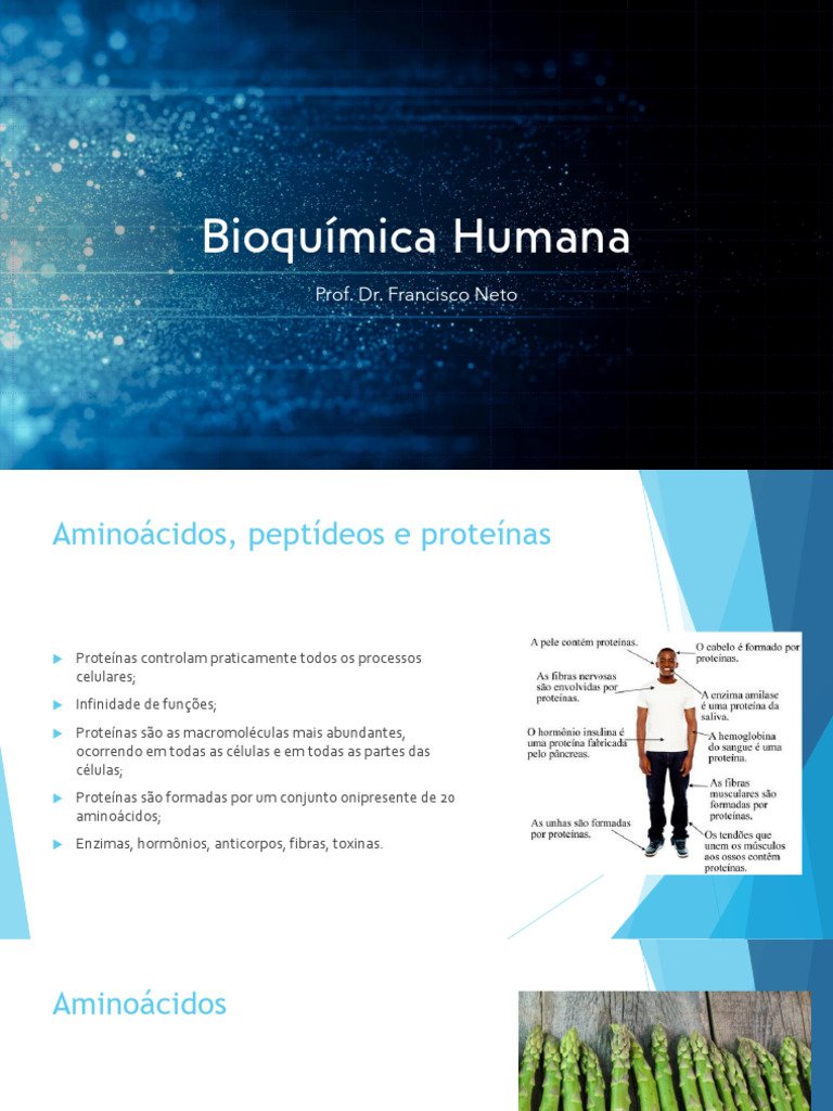 Bioquímica Humana Aula 3 | PDF | Proteínas | Aminoácido