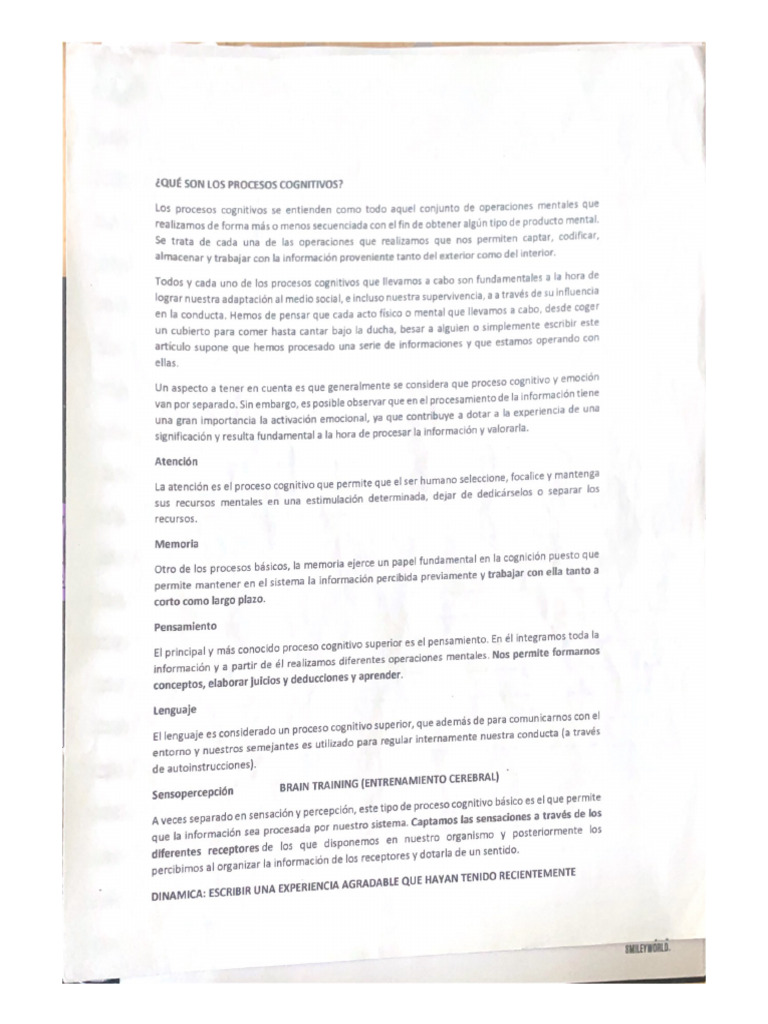 Qué Son Los Procesos Cognitivos Pdf