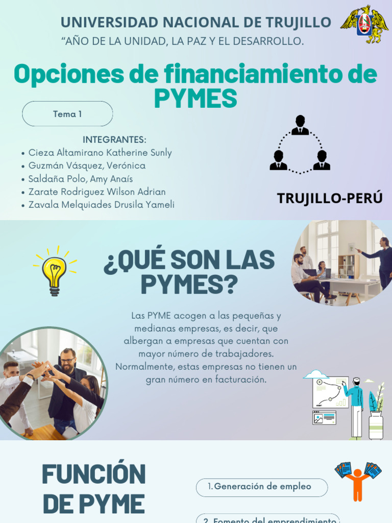 Financiamiento Pymes | PDF | Pequeñas y medianas empresas | Business