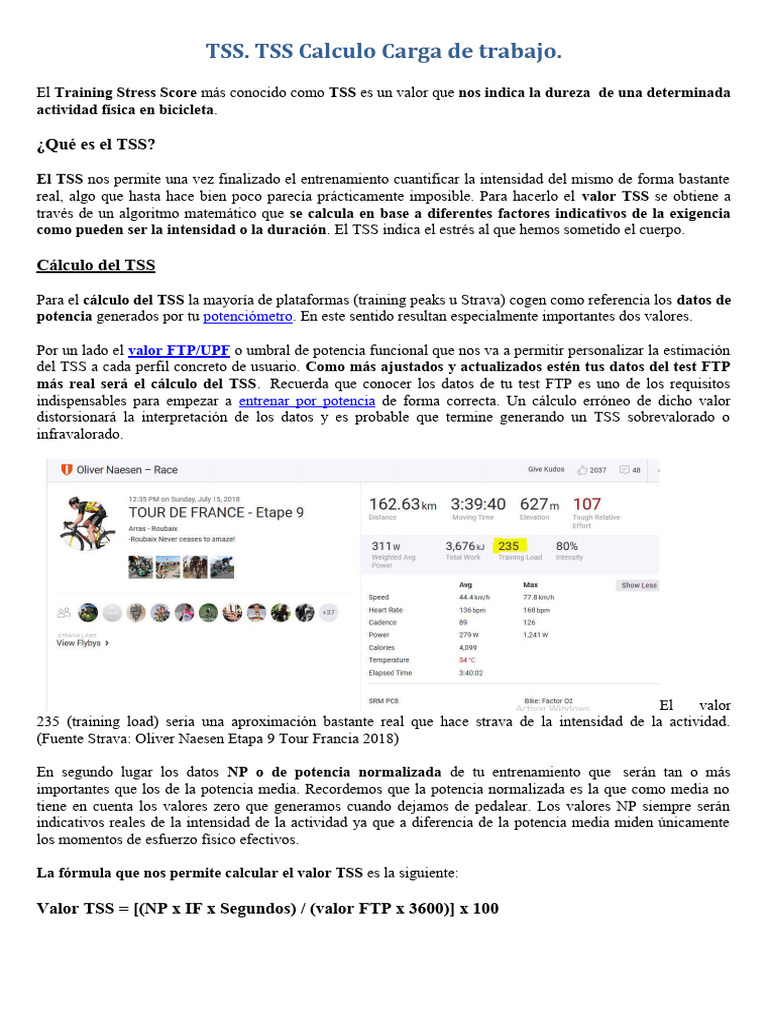 TSS Calculo Carga de Trabajo | PDF