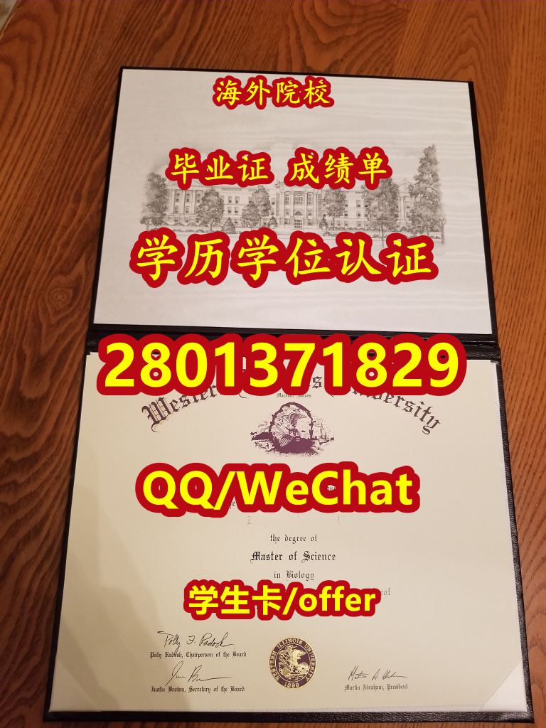 197西伊利诺伊大学 | PDF