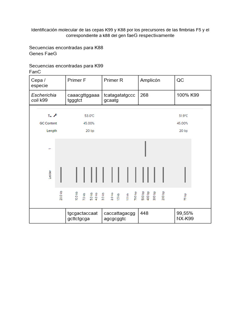 Identificación Molecular de Las Cepas K99 y K88 Por Los Precursores de ...