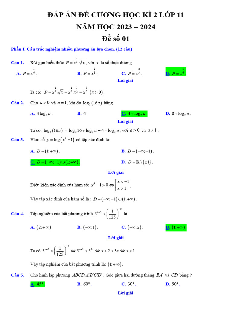 Dap an de Cuong HKII | PDF