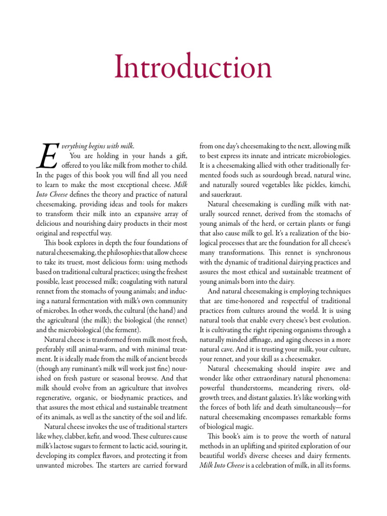 Milk Into Cheese: Introduction | PDF | Cheese | Milk