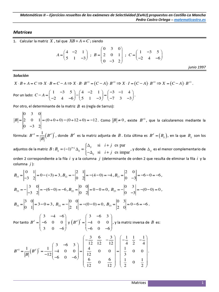01 Matrices | PDF | Determinante | Matriz (Matemáticas)