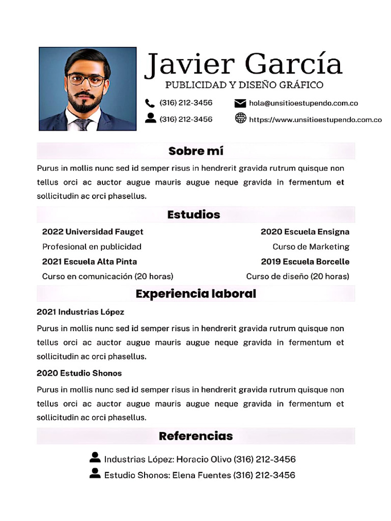 Currículum Samples | PDF