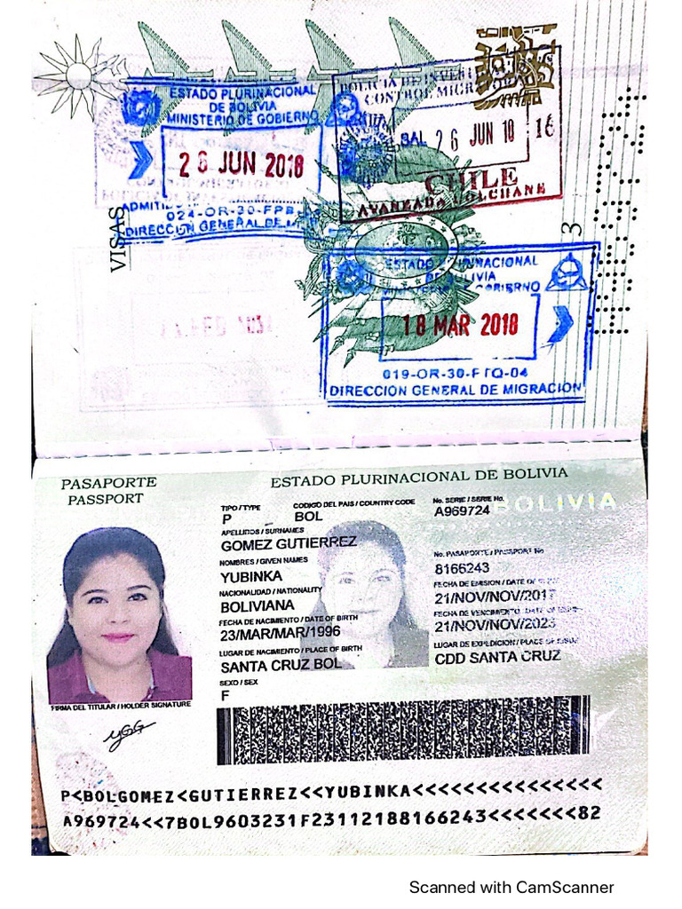 Pasaporte | PDF