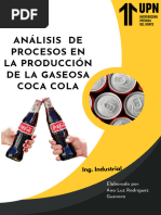 Mapa de Procesos de Coca Cola | PDF