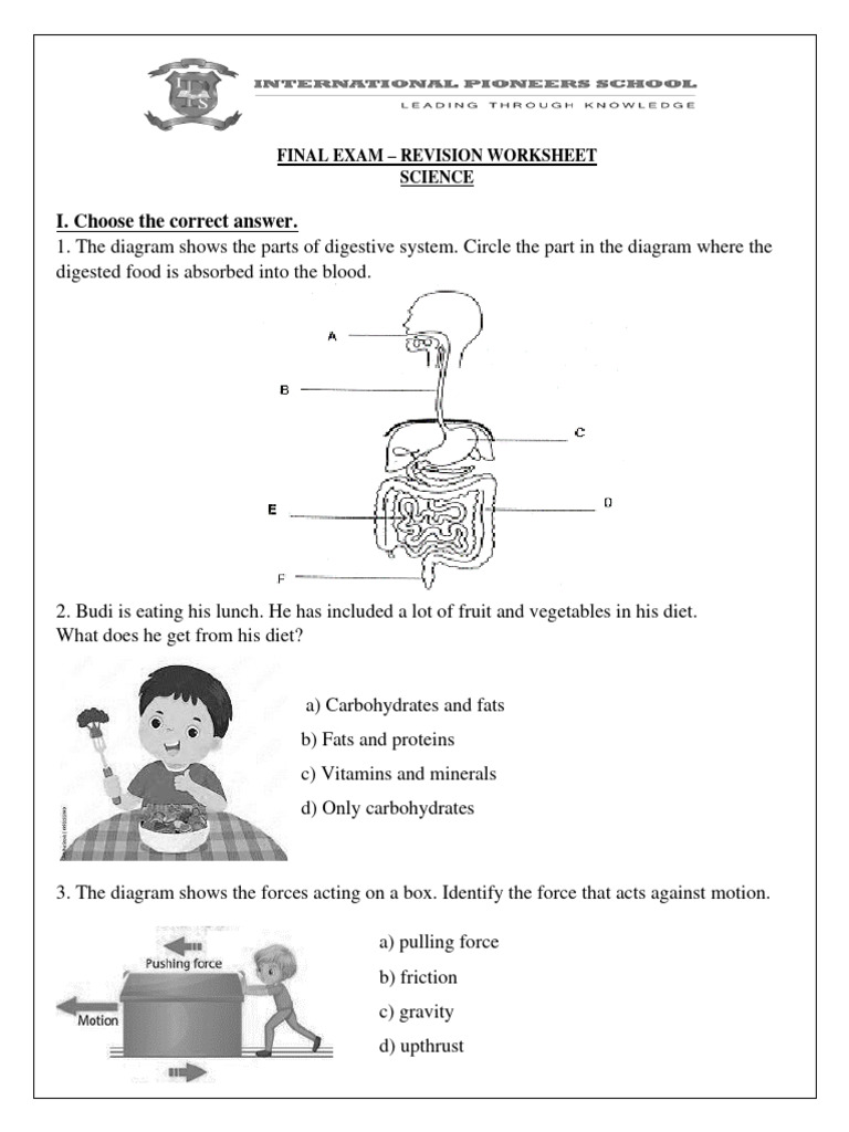 Grade 5 - Revision Final Exam | PDF | Foods | Digestion