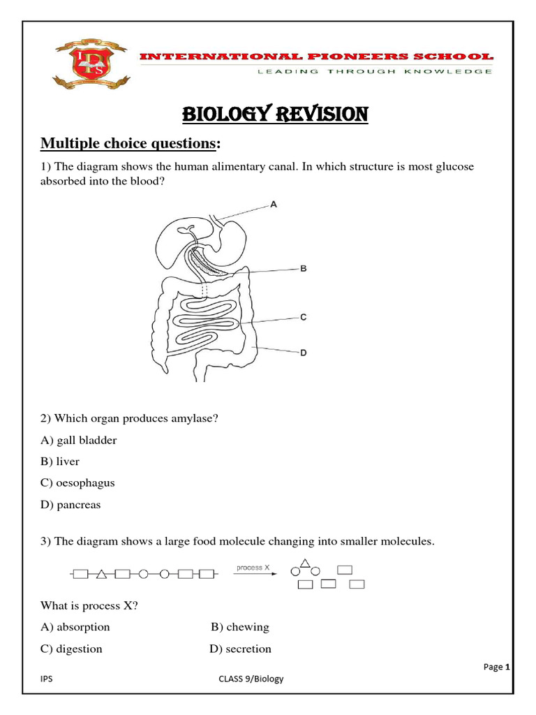 Class 9 Biology Revision Questions | PDF | Heart Valve | Biology