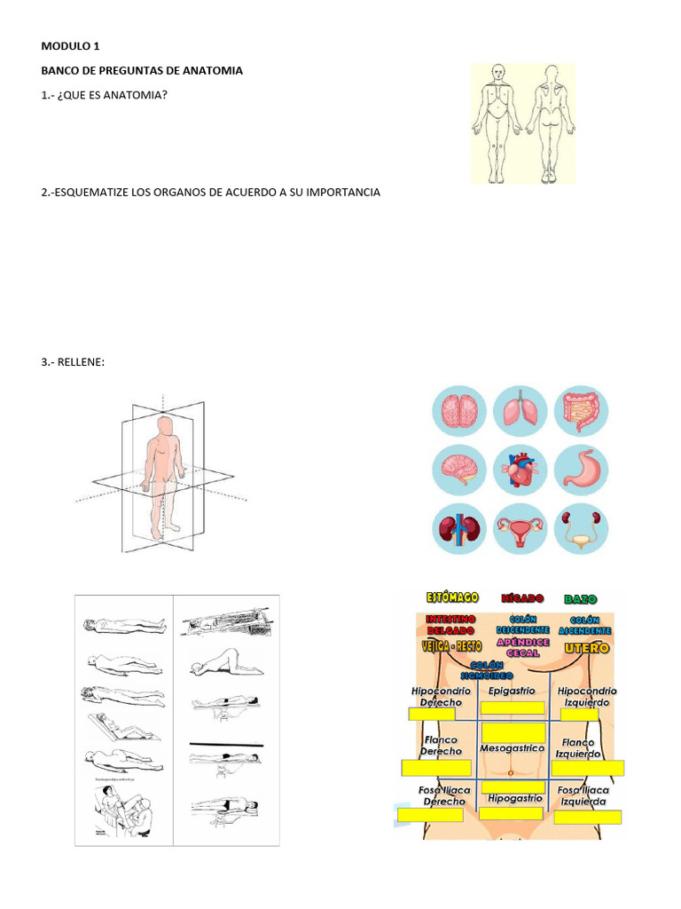 MODULO 1 BANCO DE PREGUNTAS DE ANATOMIA Final | PDF