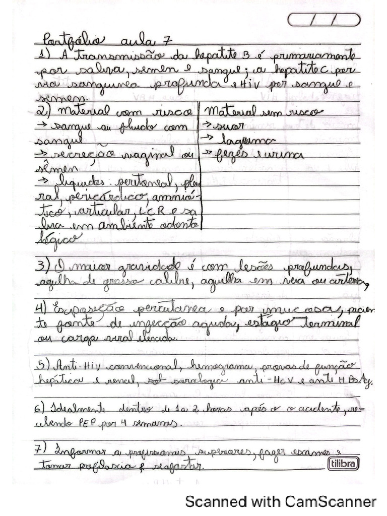 Portfólio aula 6 | PDF