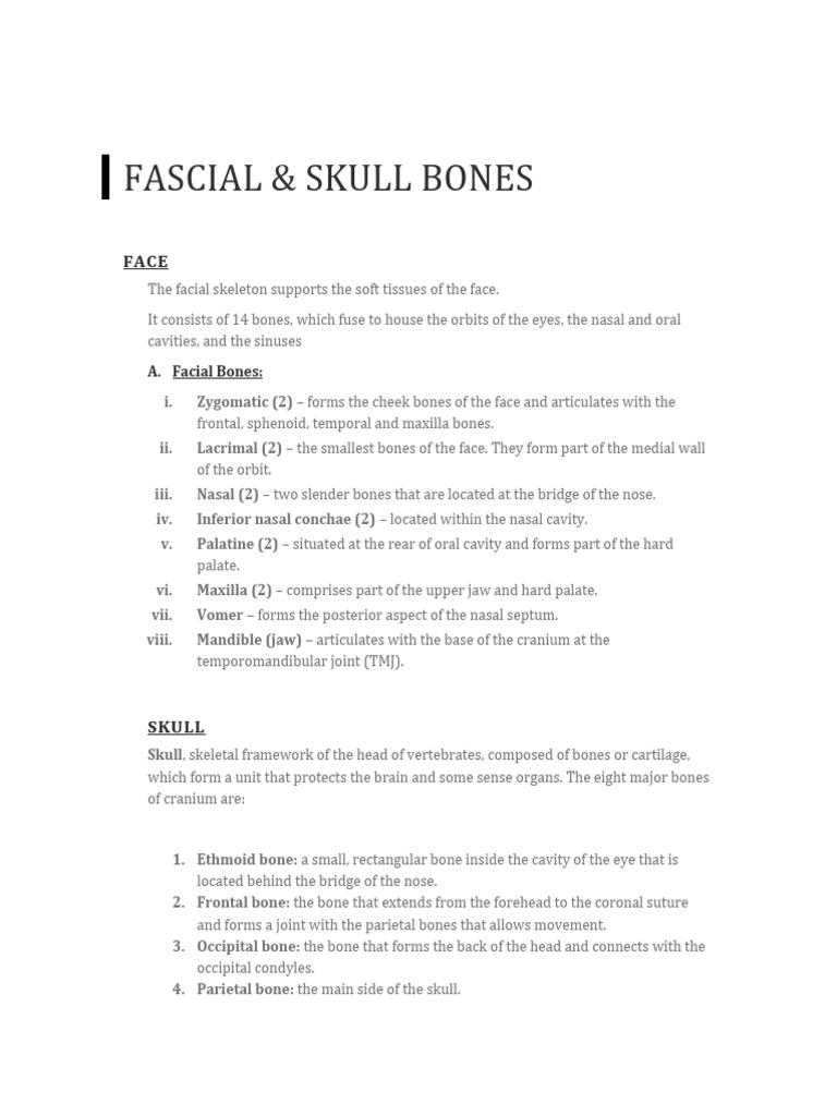 Skull and Fascial Bones. | Download Free PDF | Skull | Human Nose