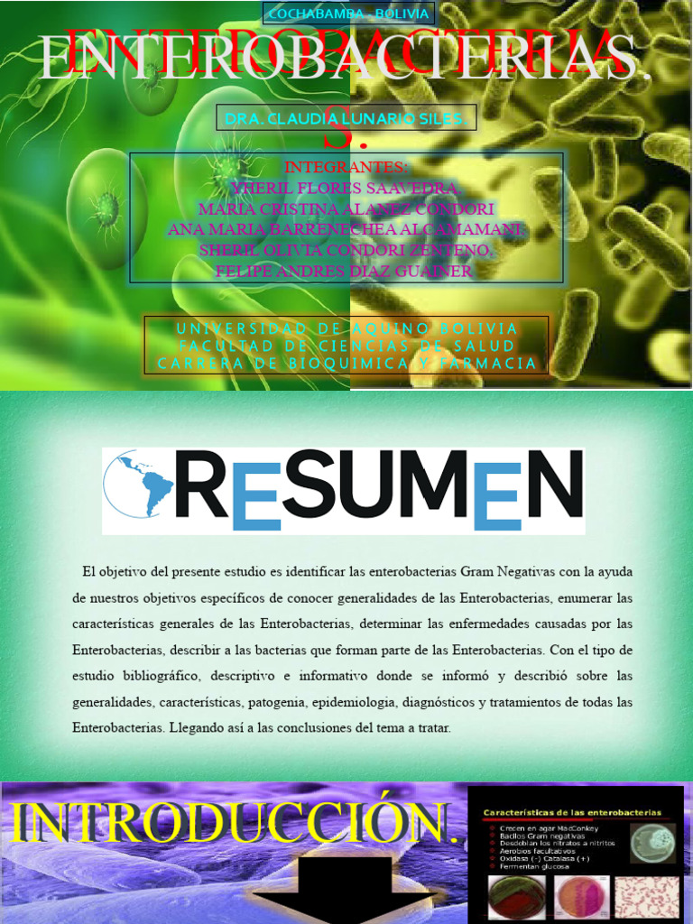 Enterobacterias BQF Grupo 1 4to Semestre | PDF | Escherichia coli | Infección del tracto urinario