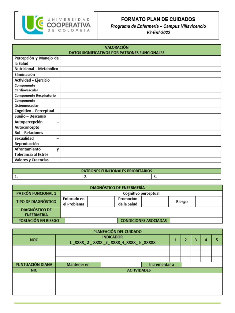 Formato Plan de Cuidados V2-2022 (2) | Descargar gratis PDF | Cuidado de la salud | Medicina CLINICA