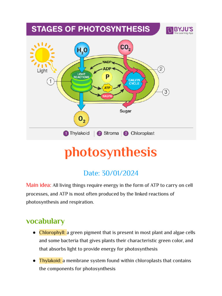 Photosynthesis | PDF | Photosynthesis | Chemistry