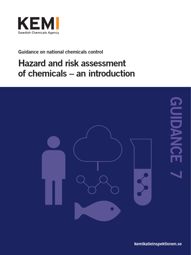 Guidance Hazard and Risk Assessment An Introduction | PDF | Hazards | Risk