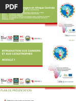 Gestion Des Risques Et Catastrophes | PDF | Inondation | Risque