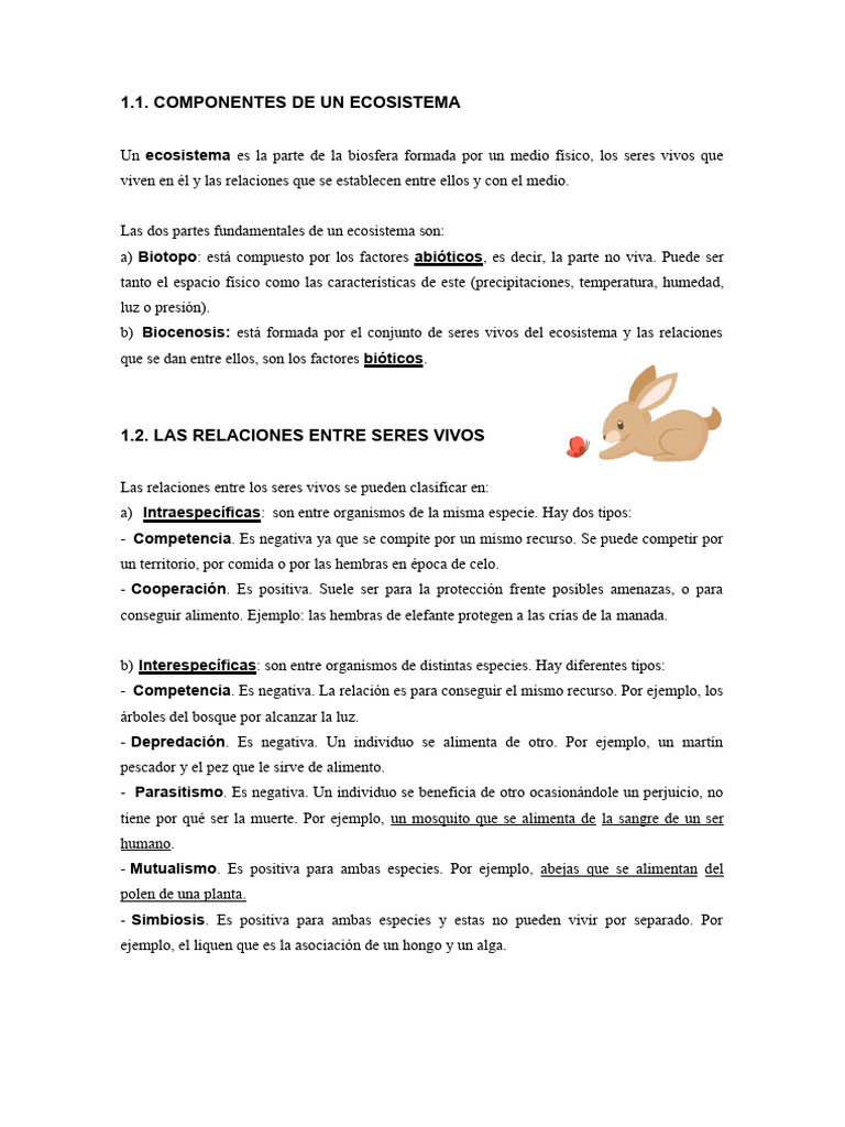 Componentes y relaciones en ecosistemas | PDF | Red alimentaria | Suelo