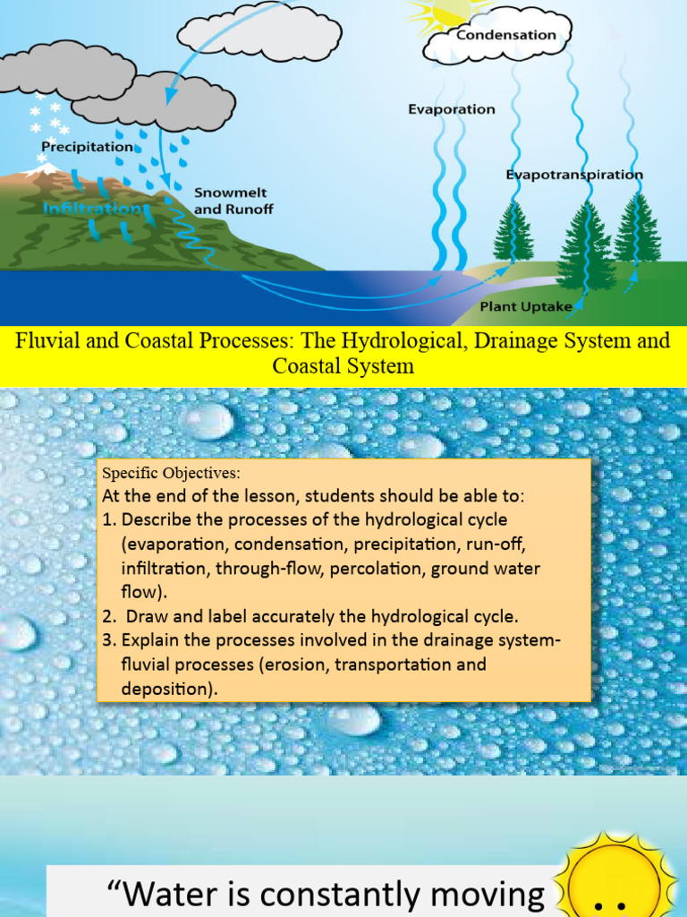 Water Cycle and Fluvial Processes Diagram | PDF | Water Cycle | Hydrology