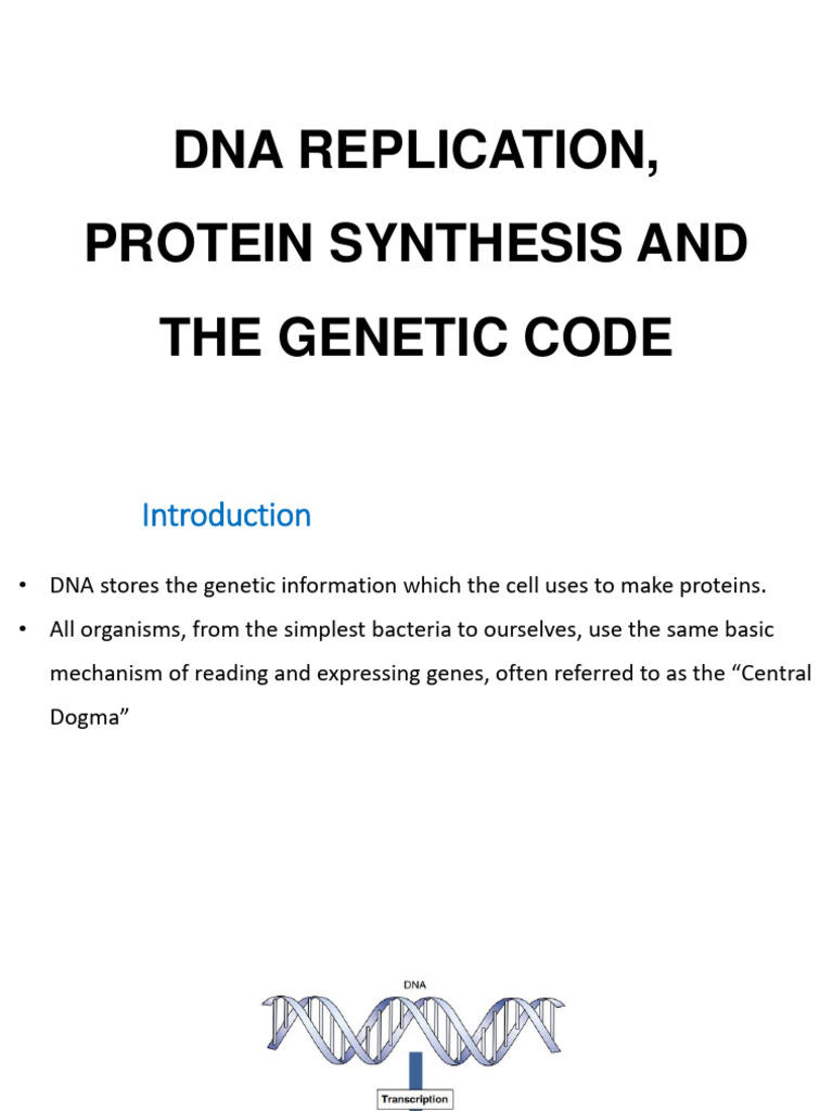 Lecture 6. DNA Replication, Protein Synthesis and The Genetic Code | PDF | Dna Replication | Dna