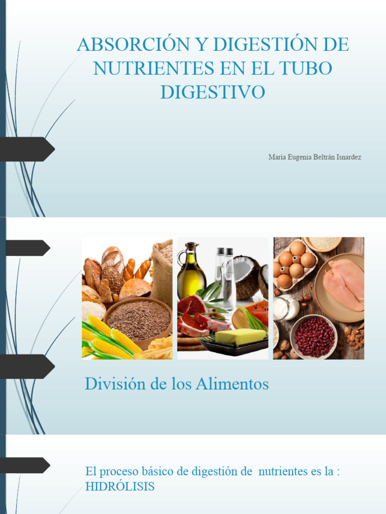 Absorción y Digestión de Nutrientes en El Tubo | PDF | Digestión ...