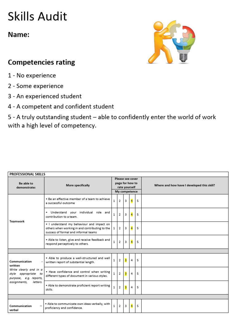 2024 - Skills Audit | PDF | Thought | Critical Thinking