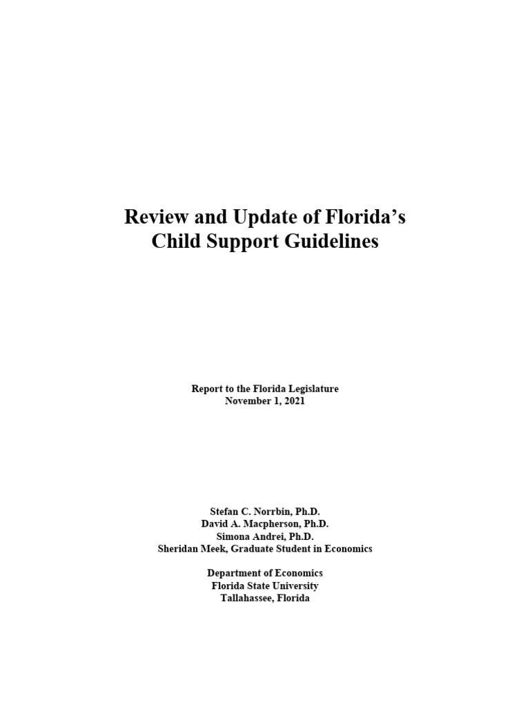 Child Support Guidelines | PDF | Child Support | Poverty